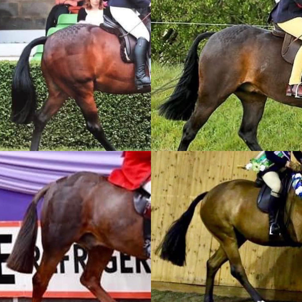 FALSE TAIL | Showponyprep.com