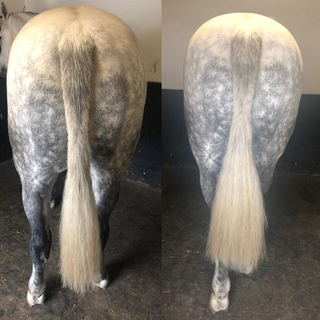 FALSE TAIL | Showponyprep.com