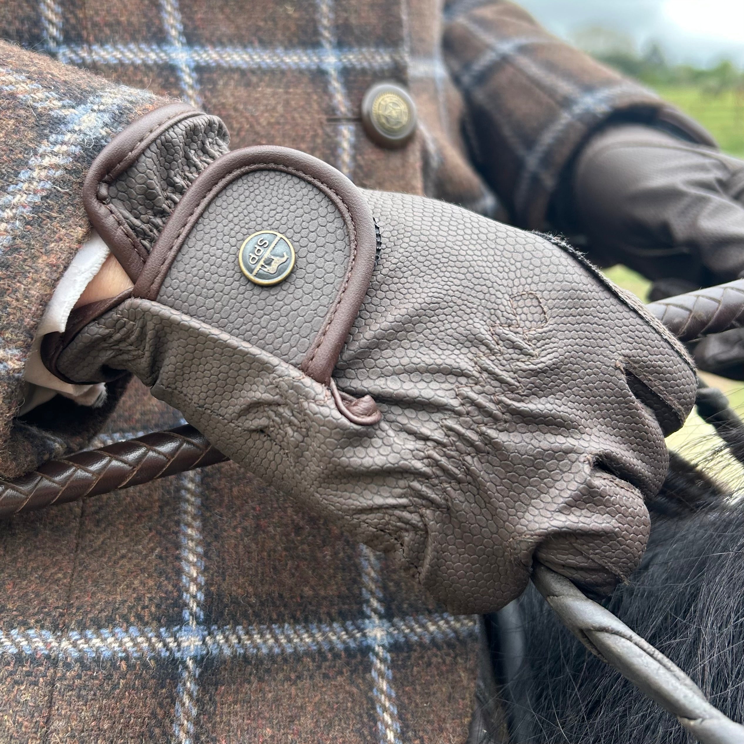 Superior Show Glove - Adults – Showponyprep.com