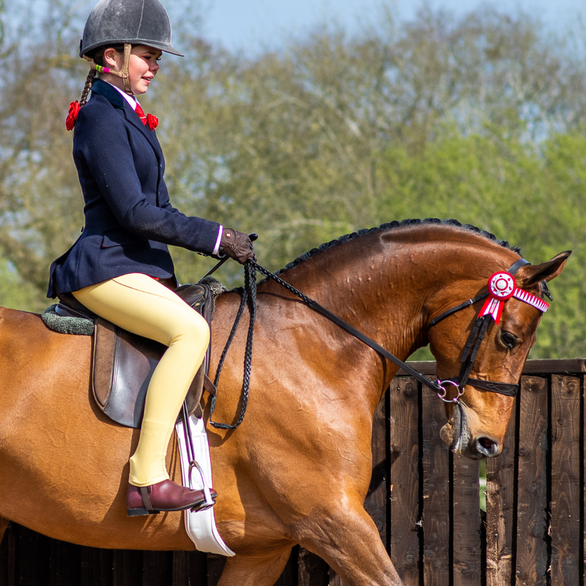 SHOWPONYPREP® | Luxury Showing Attire | Horse Showing Essentials ...